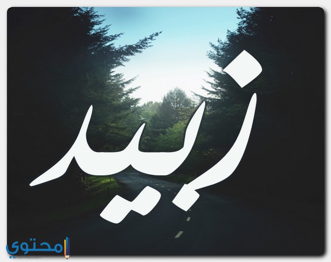 معنى اسم زبيد وصفات حامل الاسم Zobid - موقع محتوى